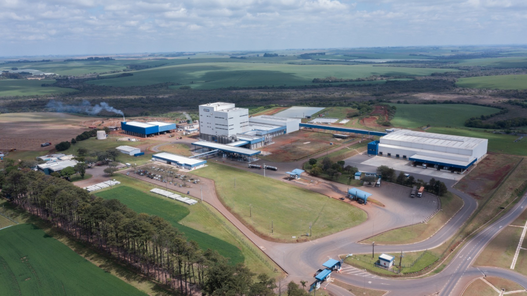 Notícias: Produtores de leite CCGL recebem R$ 14,4 milhões de ...